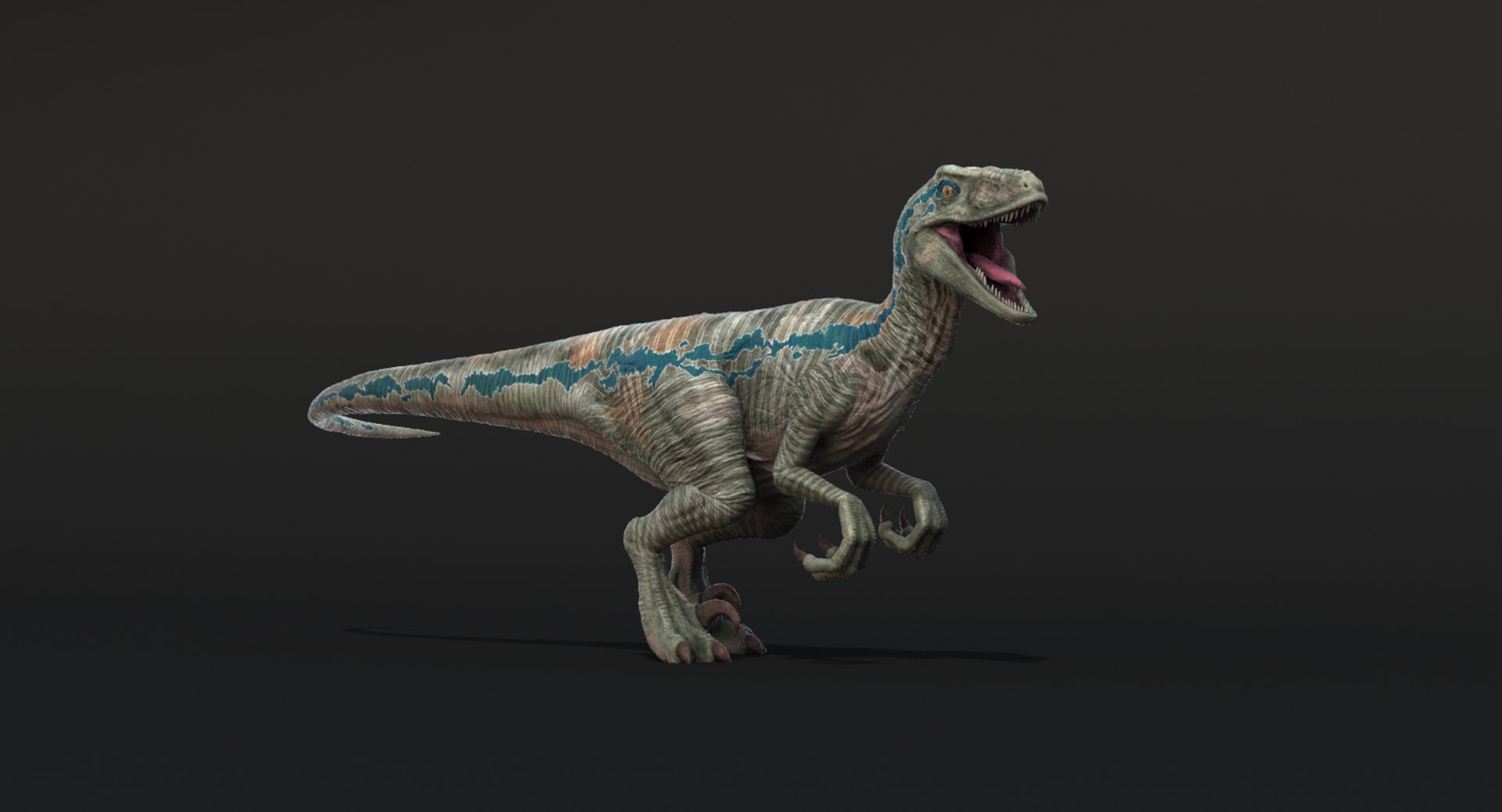 Realistic Velociraptor Raptor Animation Max