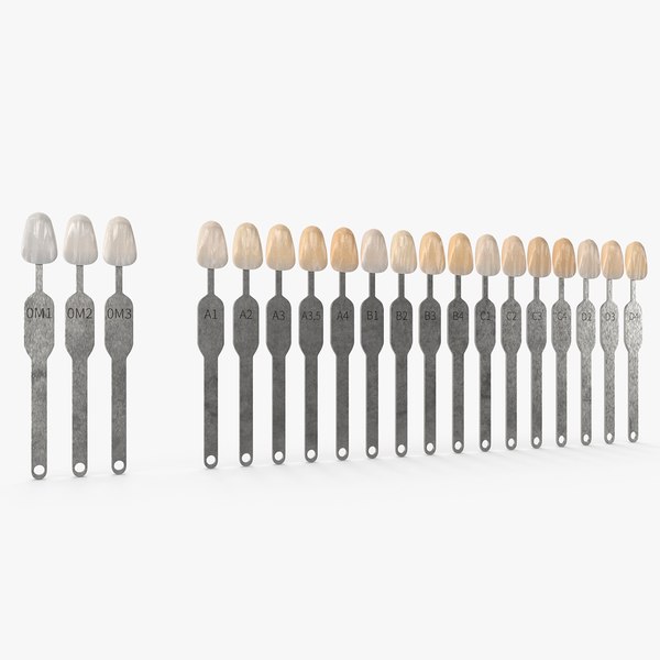 modelo 3d Guía de colores de dientes con tonos blanqueados - TurboSquid ...