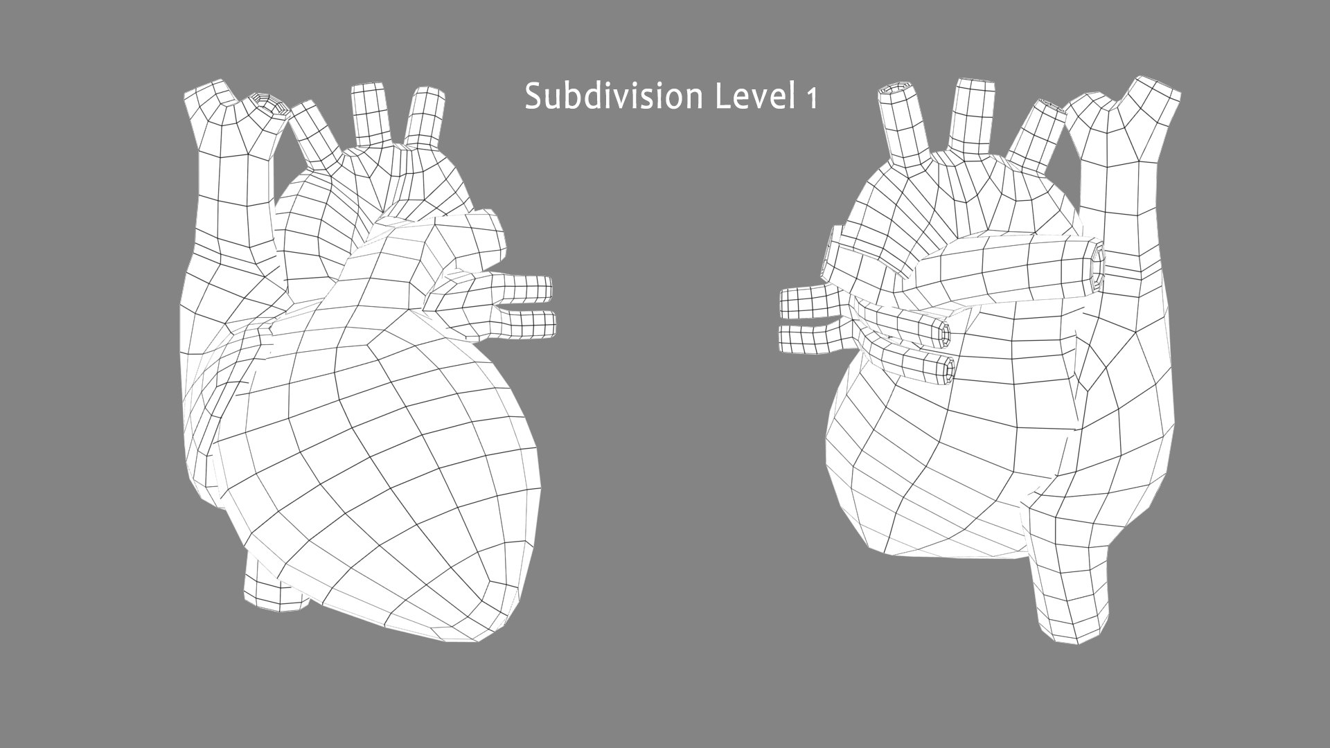 Human Heart Pumping 3d Model
