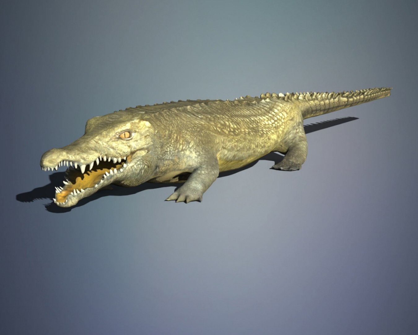 Crocodile 3D model - TurboSquid 1386966