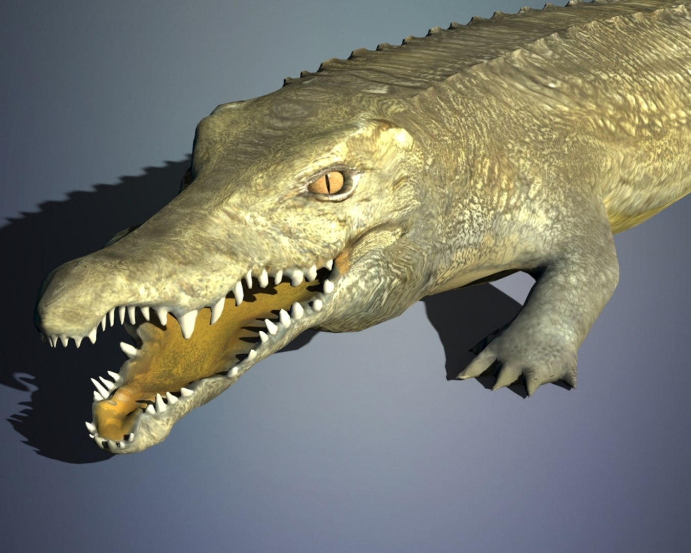 Crocodile 3D model - TurboSquid 1386966