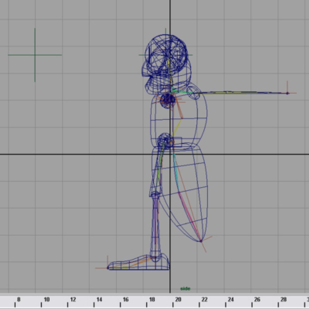 3d Simple Cartoon Fly Model