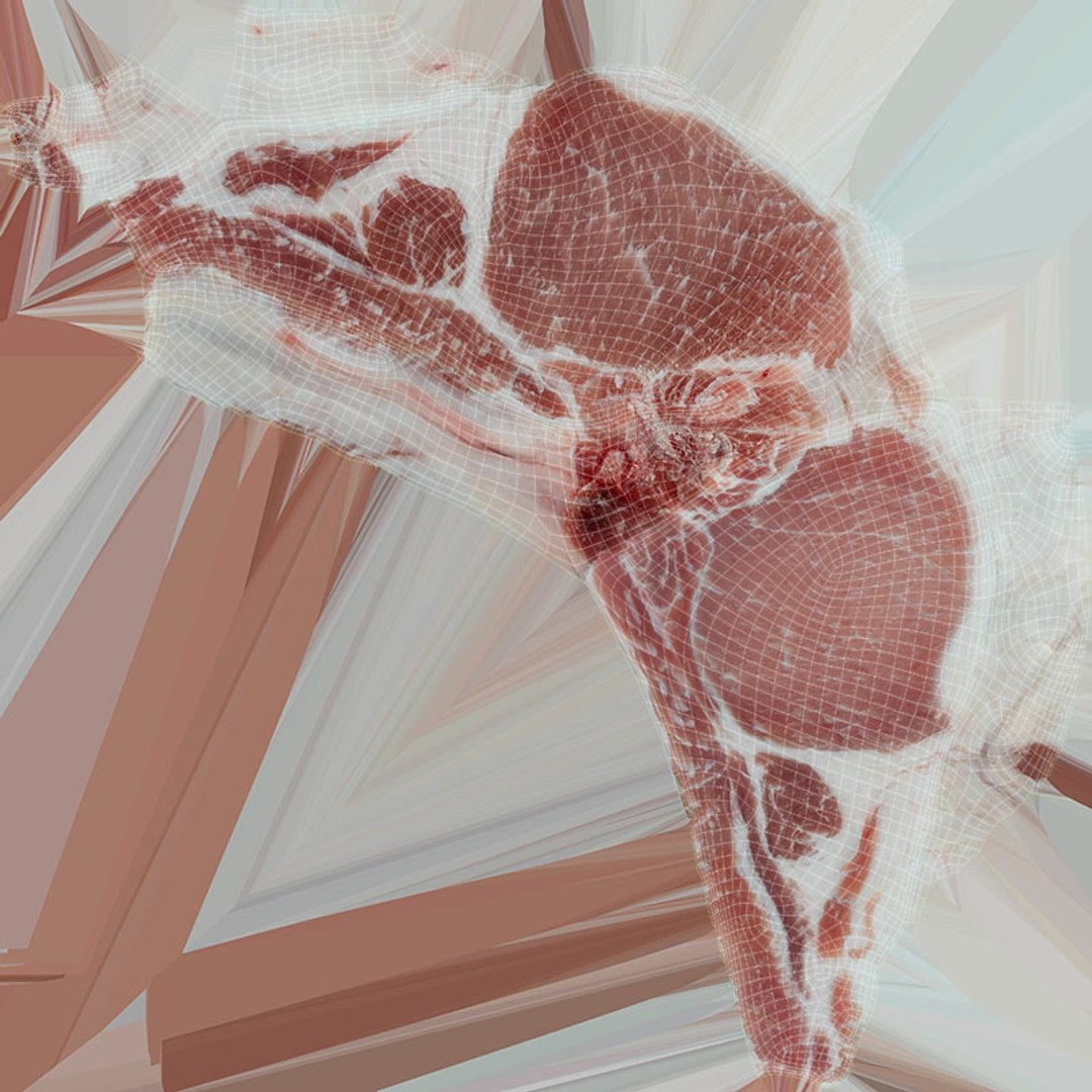 Raw Meat Collection 2 3D Model - TurboSquid 2171696
