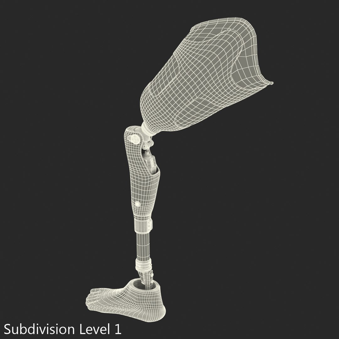 3d model prosthetic leg rigged