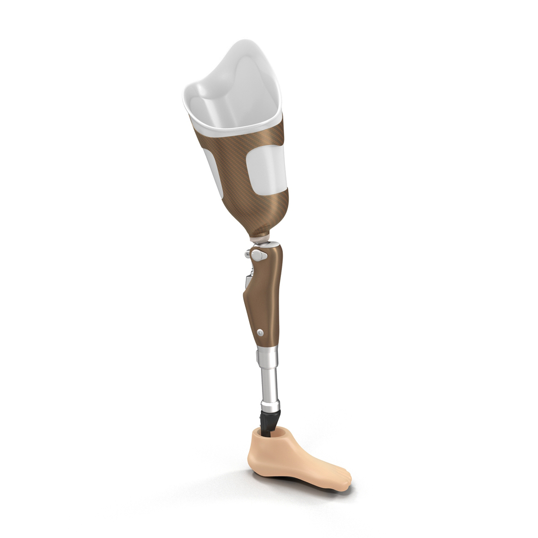 3d model prosthetic leg rigged