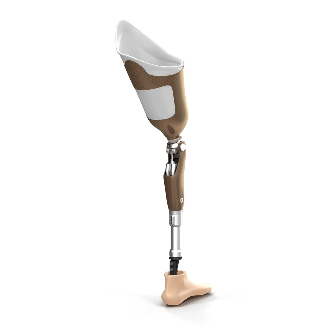 3d model prosthetic leg rigged