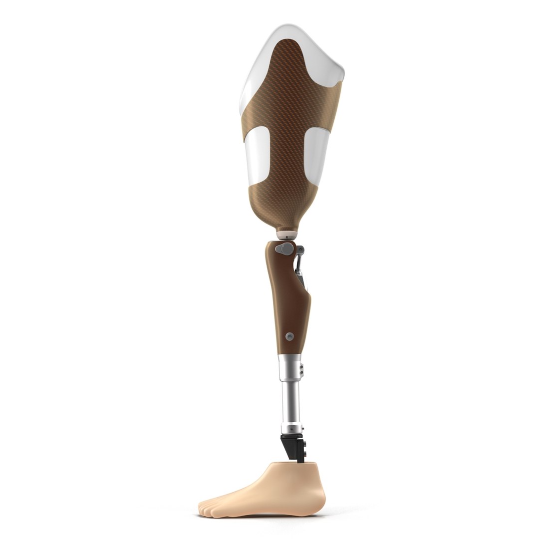 3d Model Prosthetic Leg Rigged