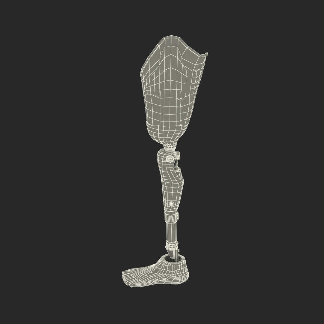 3d Model Prosthetic Leg Rigged