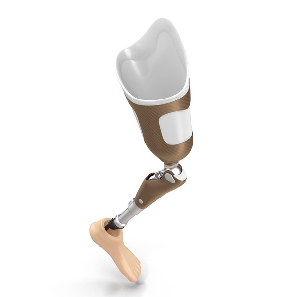 3d model prosthetic leg rigged