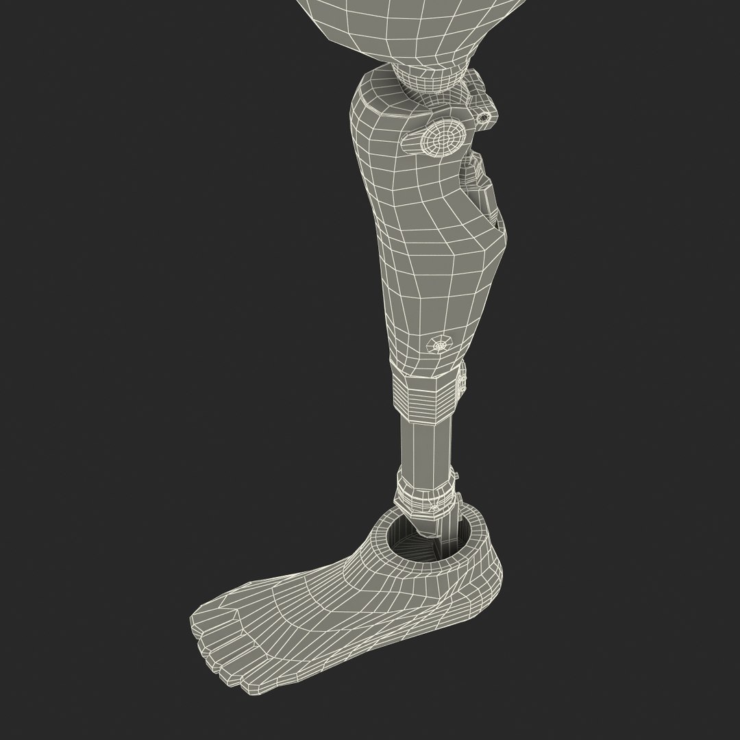3d model prosthetic leg rigged