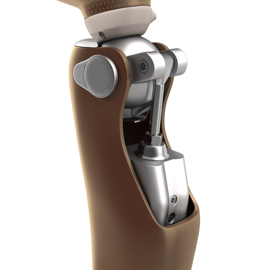 3d model prosthetic leg rigged