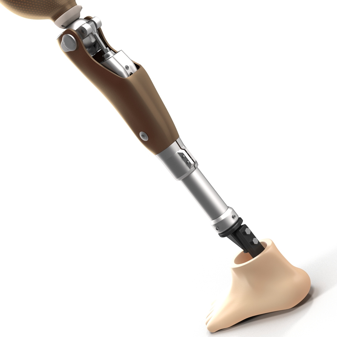 3d model prosthetic leg rigged