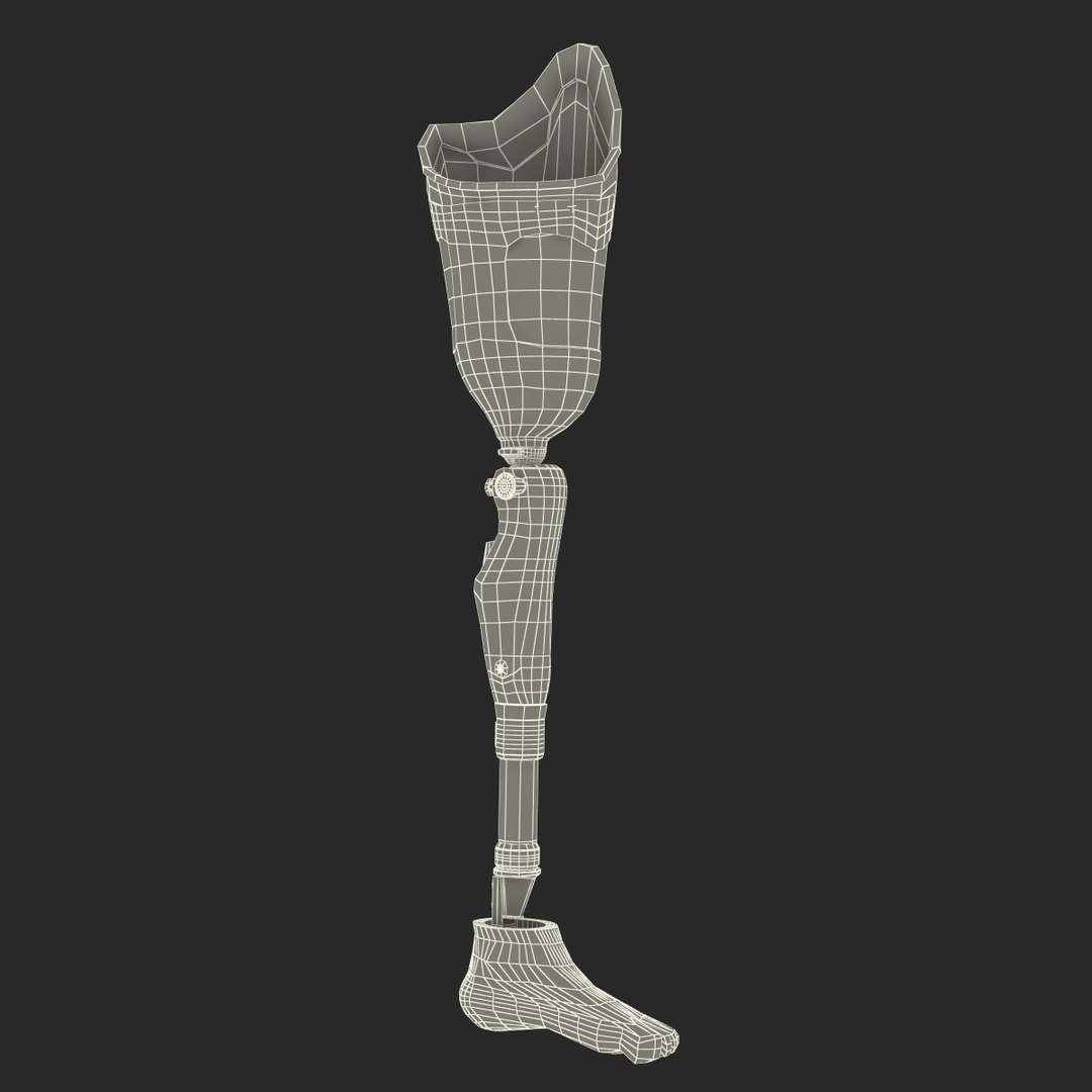 3d model prosthetic leg rigged