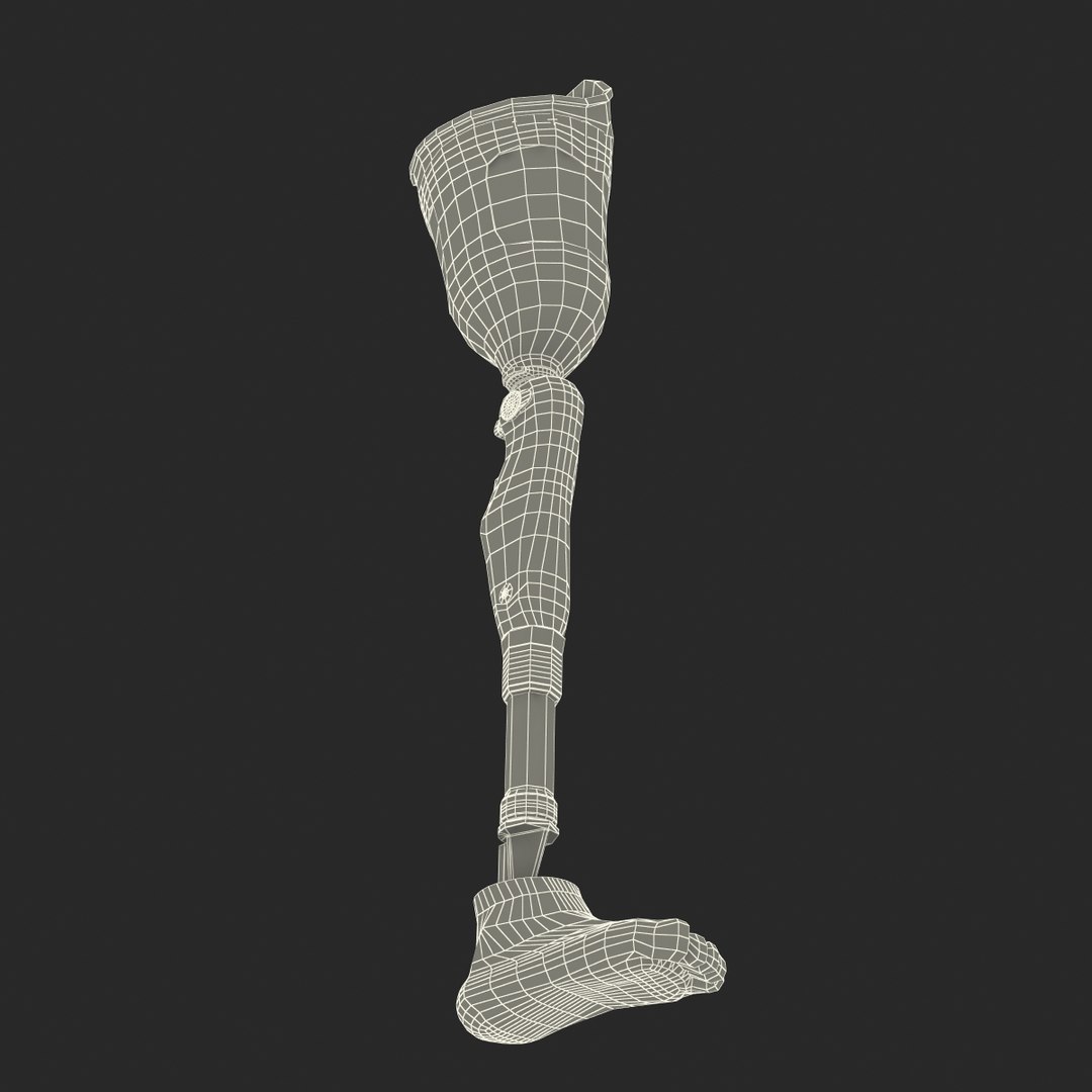 3d model prosthetic leg rigged