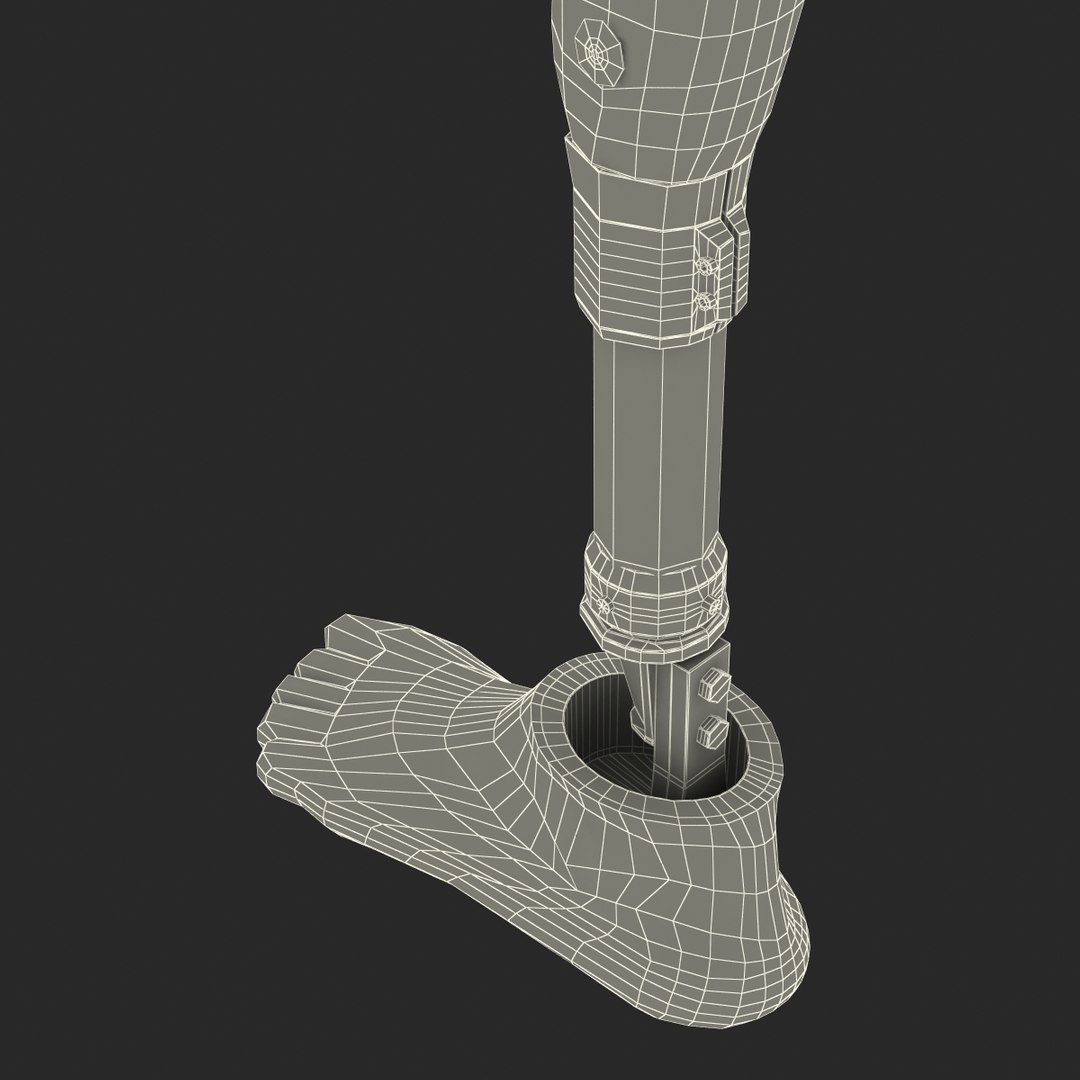 3d model prosthetic leg rigged
