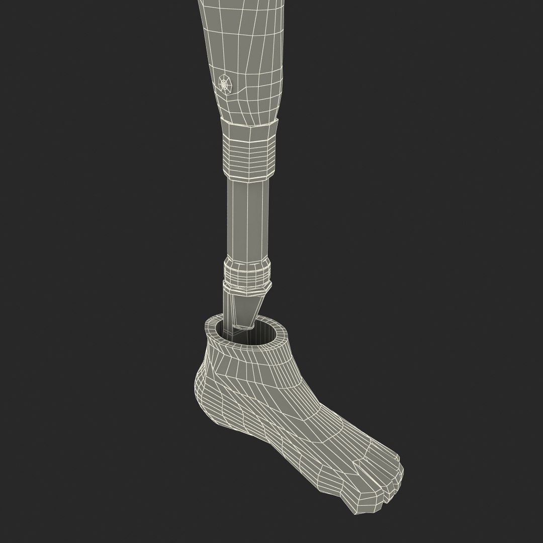 3d model prosthetic leg rigged