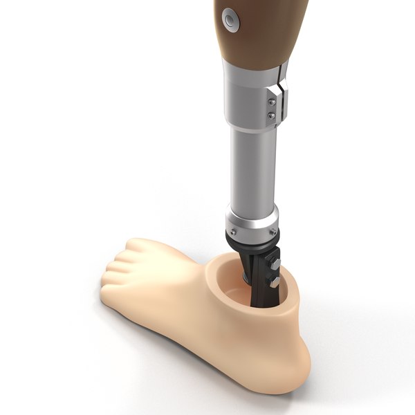 3d model prosthetic leg rigged