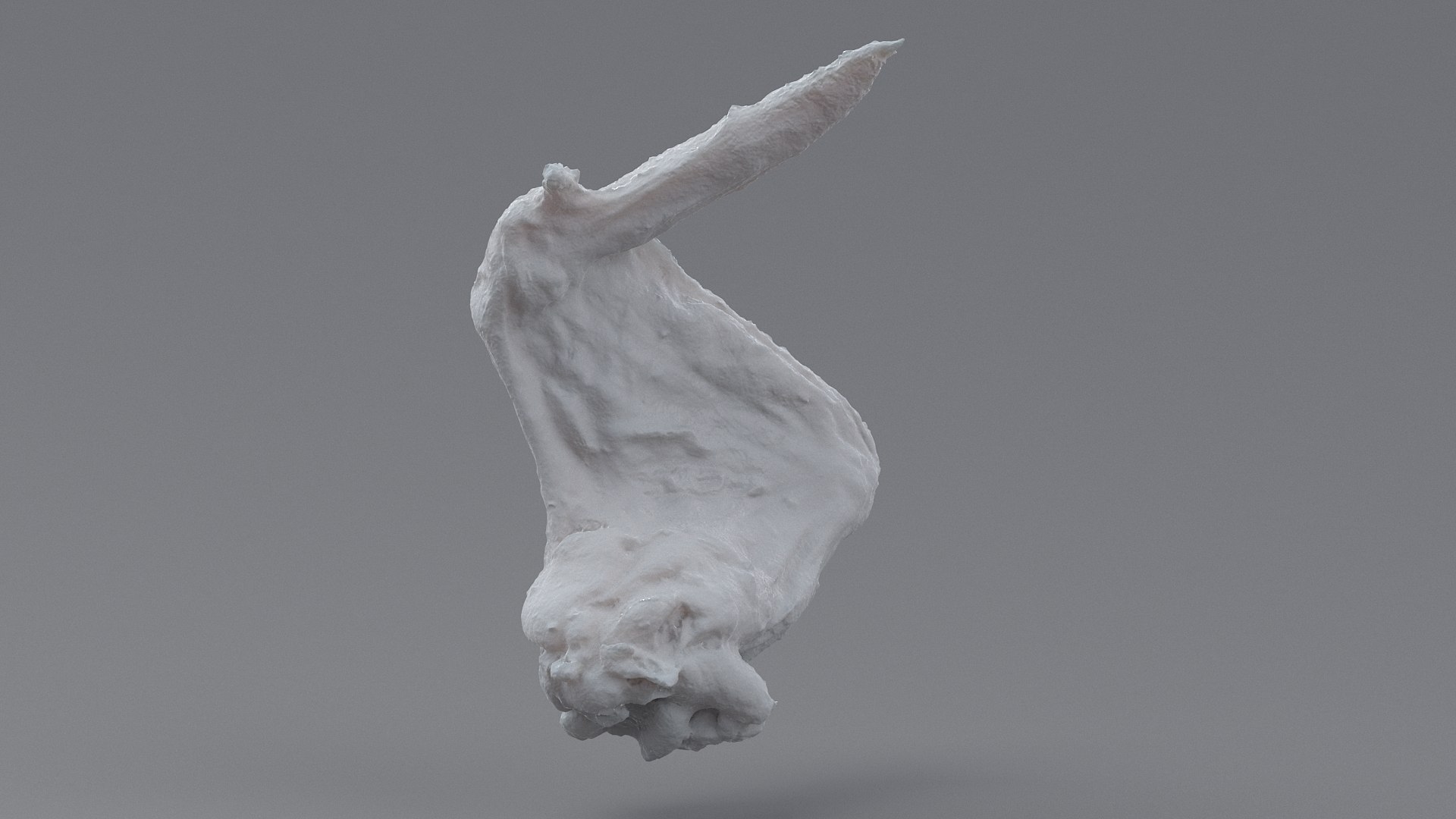 Realistic Fried Chicken Wing 3D - TurboSquid 1771730