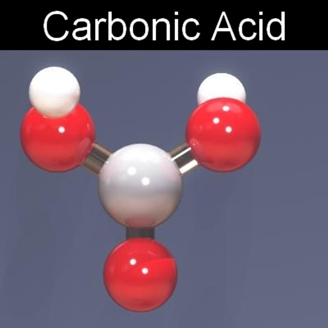 3d Model Molecule Carbonic Acid