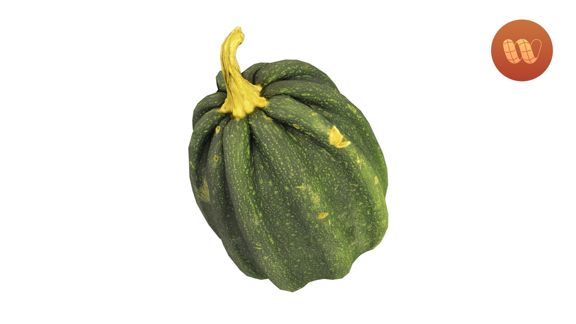 3D model Mogango Winter Squash - Real-Time 3D Scanned - TurboSquid 1734029