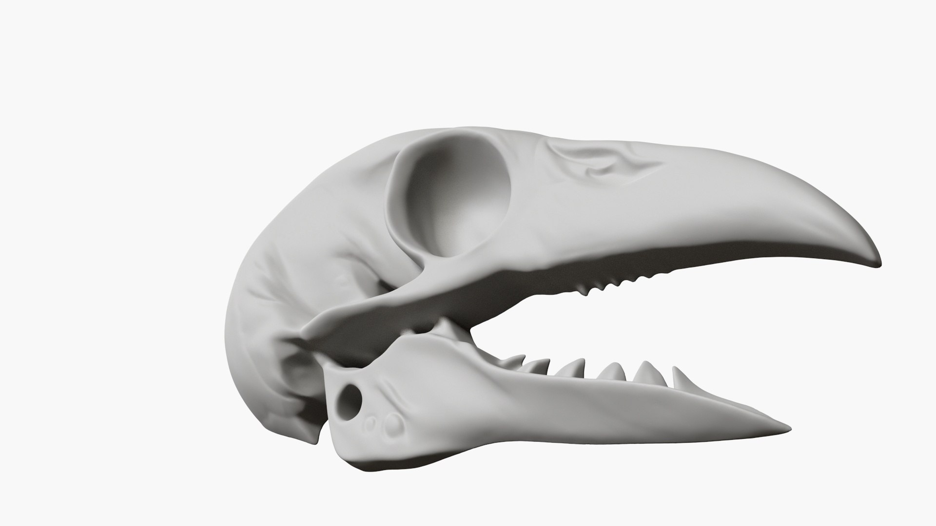 3D Crow Skull Relief 1 Model - TurboSquid 2287447