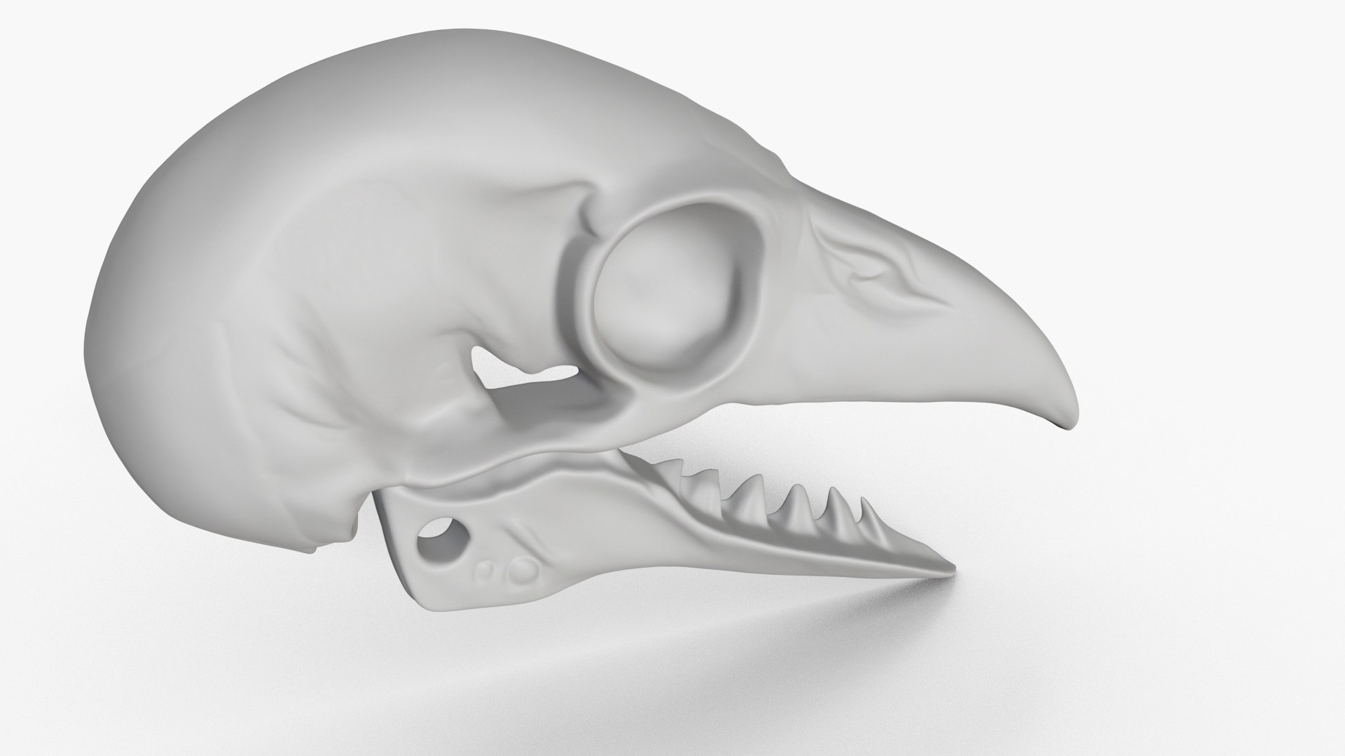 3D Crow Skull Relief 1 Model - TurboSquid 2287447