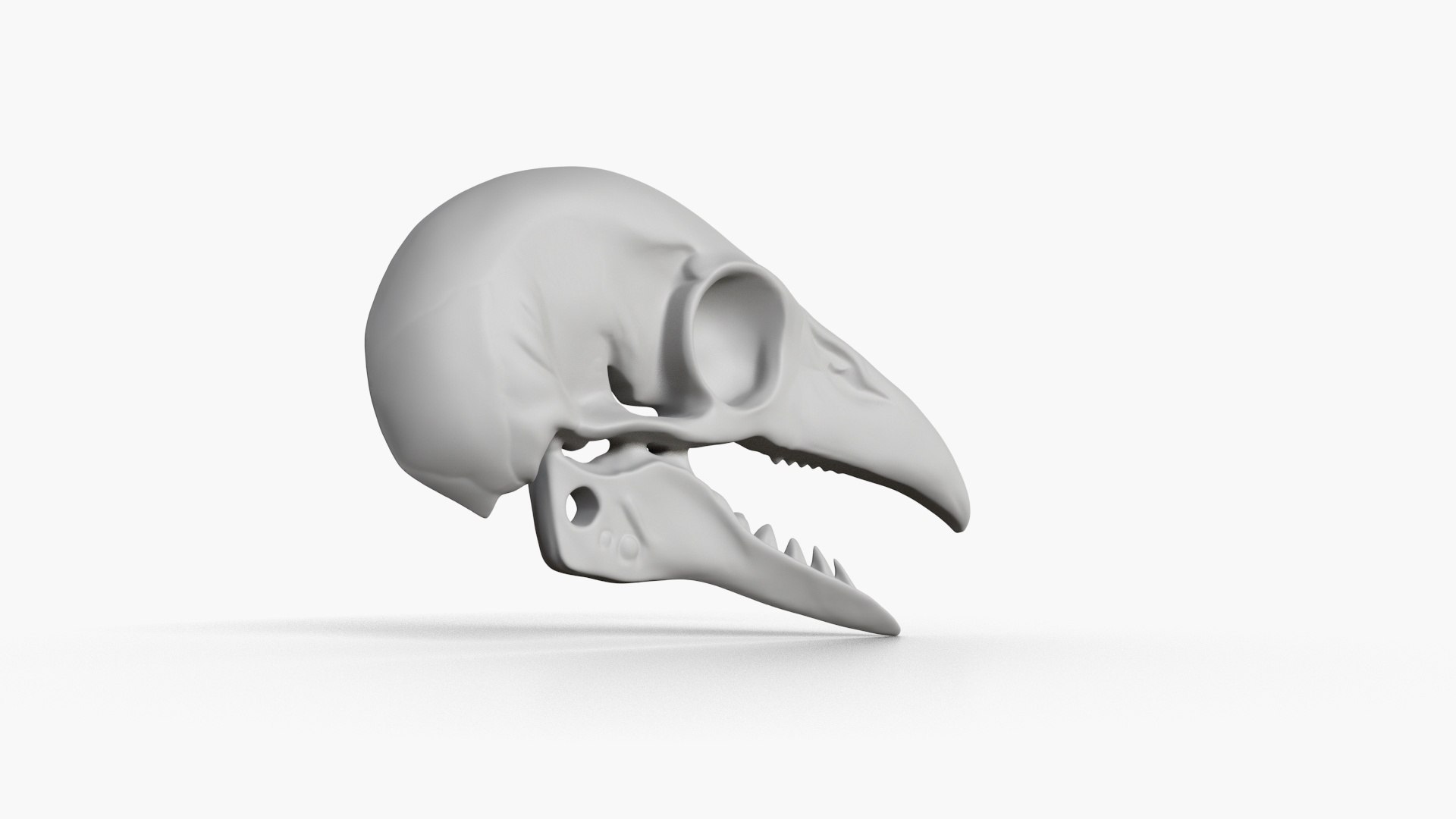 3D Crow Head Relief 1 Model - TurboSquid 2287447