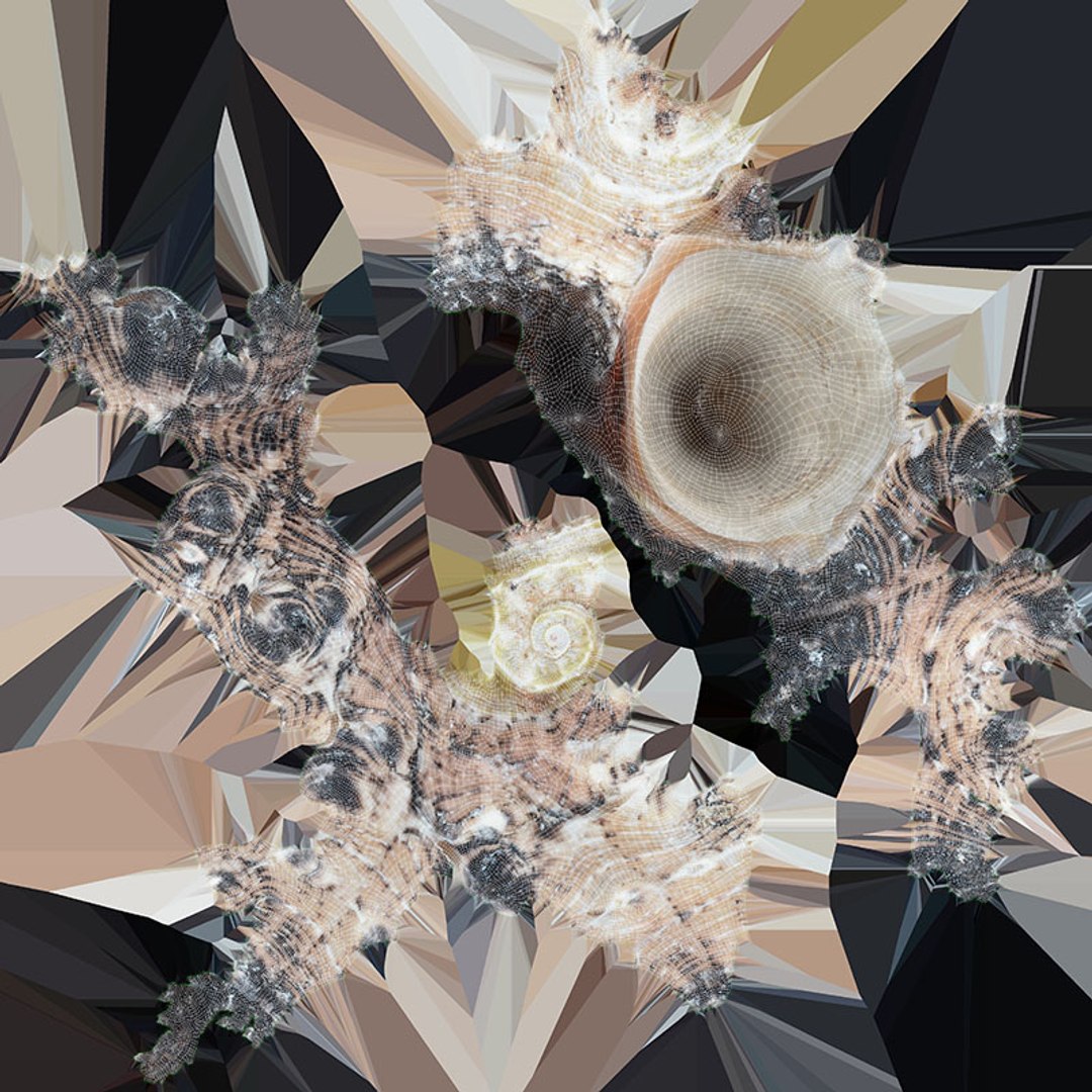 Angaria Delphinus Collection 3D Model - TurboSquid 2215047