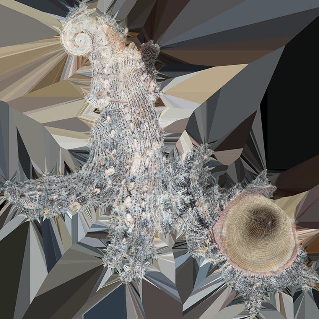 Angaria Delphinus Collection 3D Model - TurboSquid 2215047