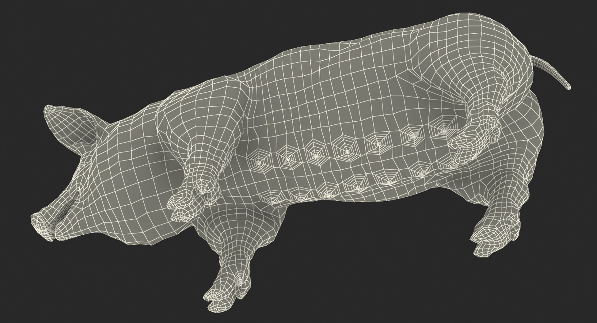 Hampshire Pig Sow 3D Model - TurboSquid 1355708