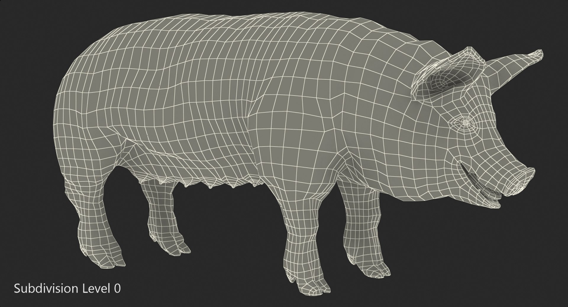 Hampshire Pig Sow 3D Model - TurboSquid 1355708