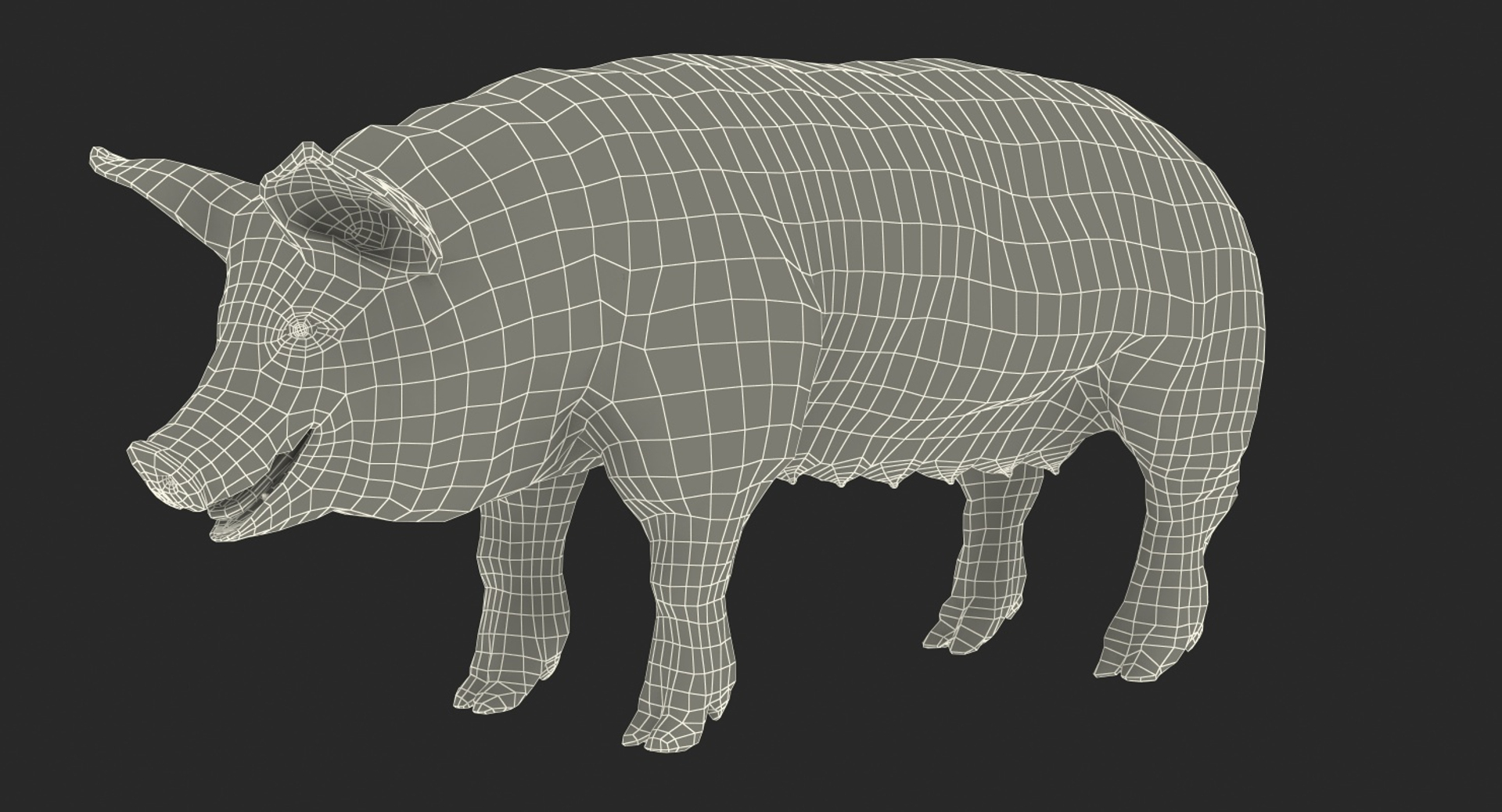 Hampshire Pig Sow 3D Model - TurboSquid 1355708