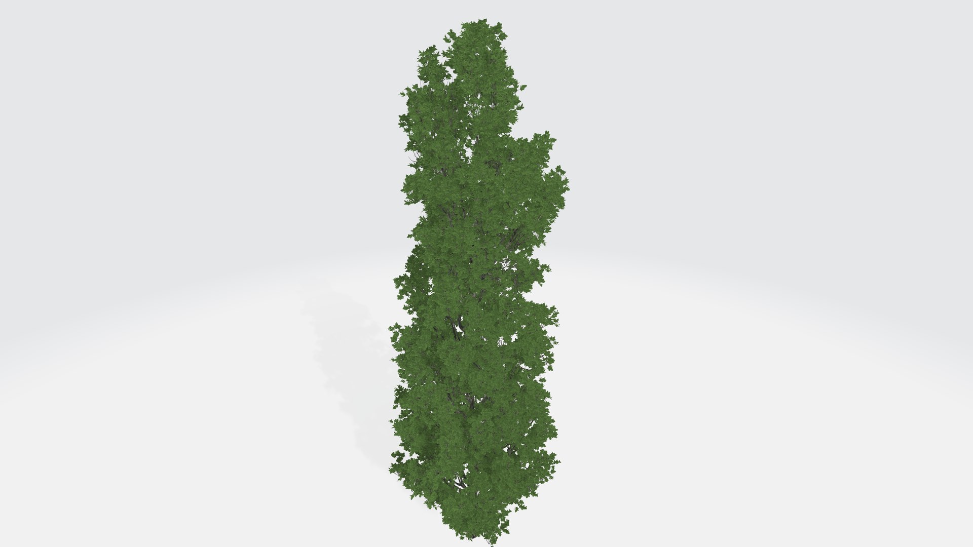 3D Straight green tree model - TurboSquid 1956185