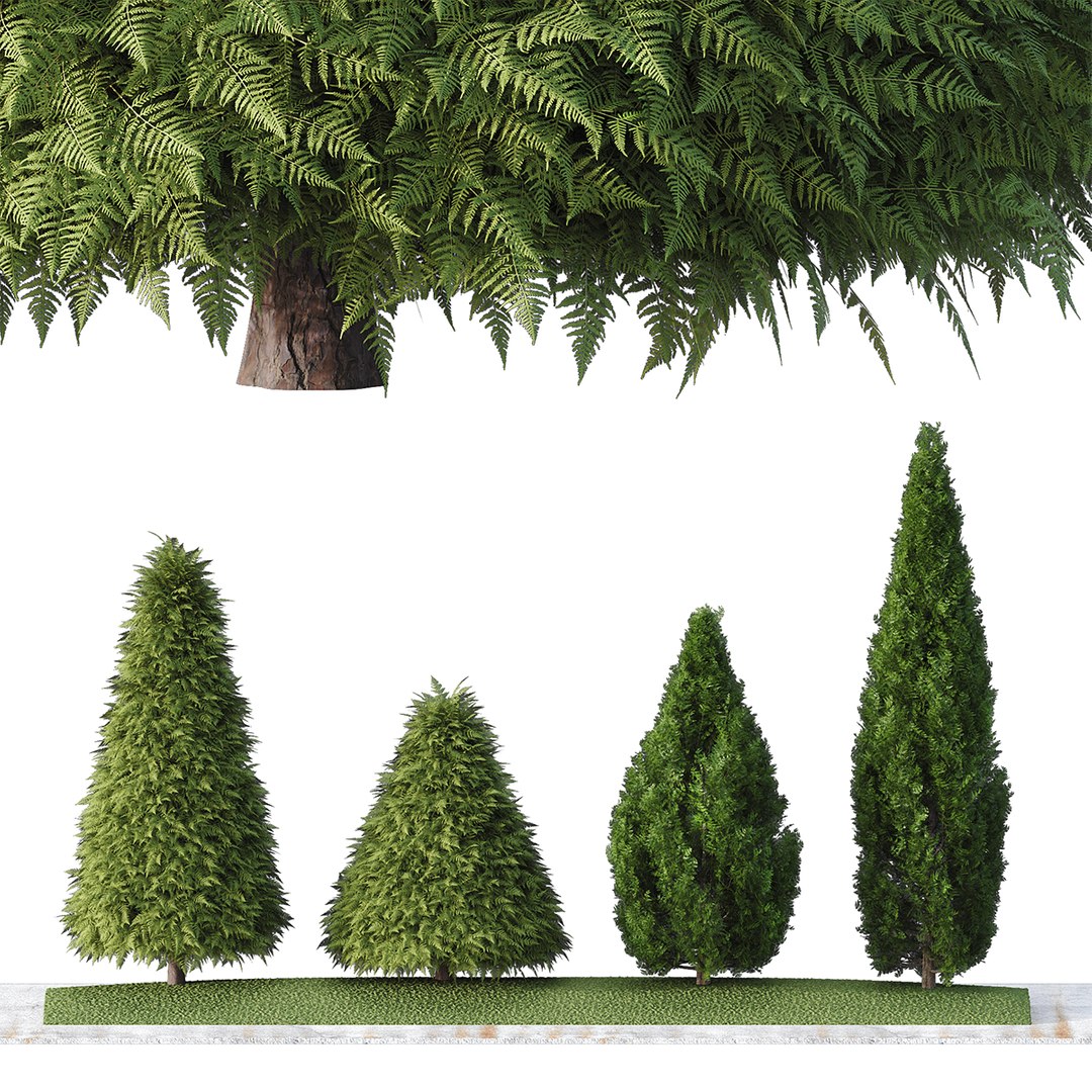 3D Model HQ Cone Shaped Green Coniferous Rocky Mountain Juniper Trees ...