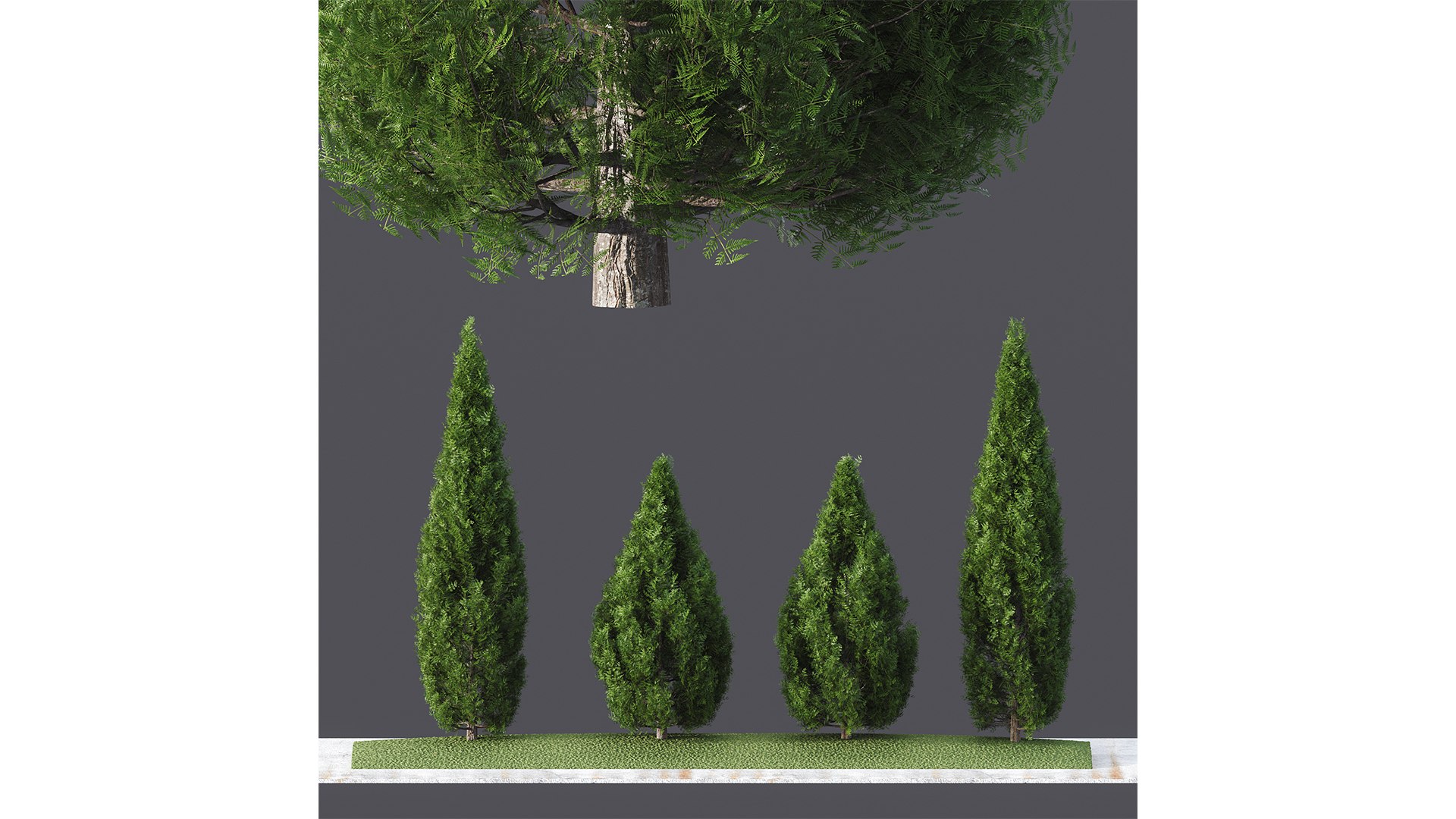3D Model HQ Cone Shaped Green Coniferous Rocky Mountain Juniper Trees ...