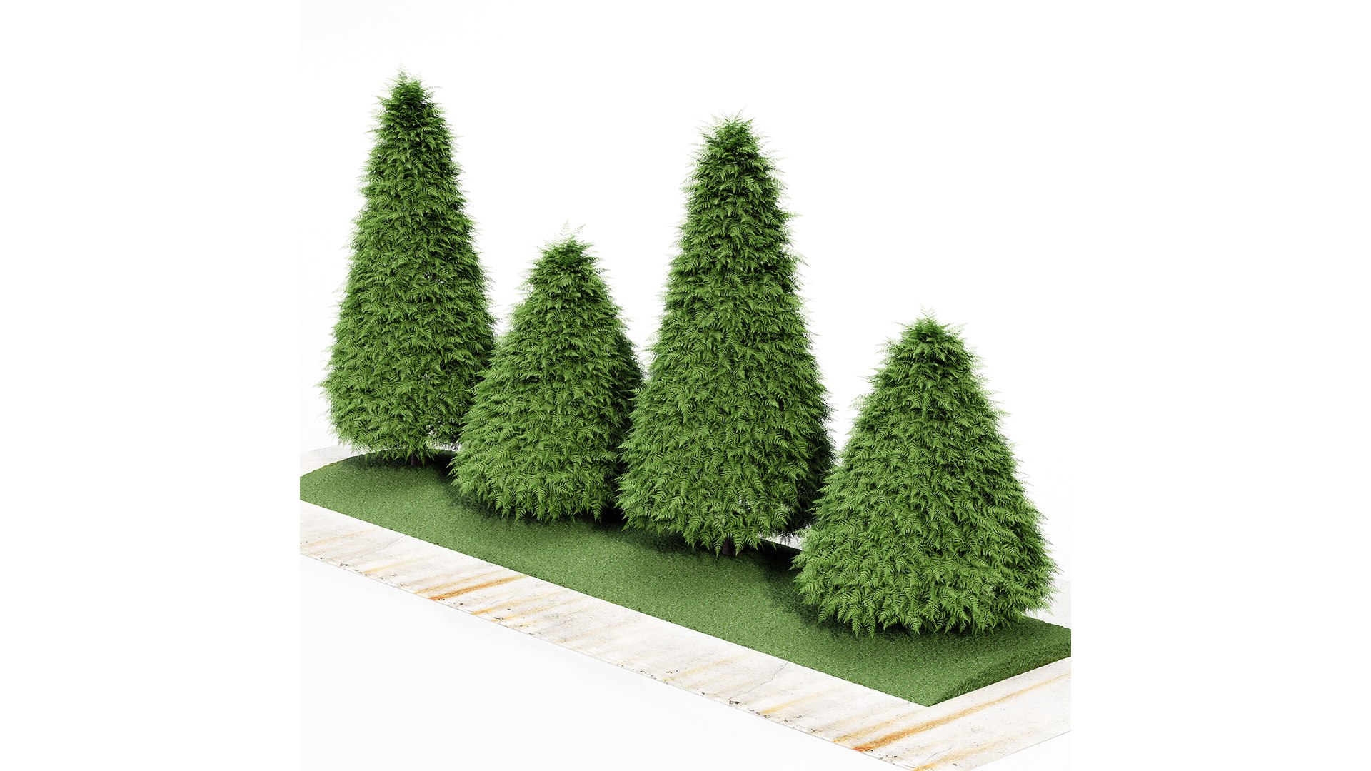 3D Model HQ Cone Shaped Green Coniferous Rocky Mountain Juniper Trees ...