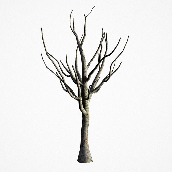 3D Leafless Models | TurboSquid