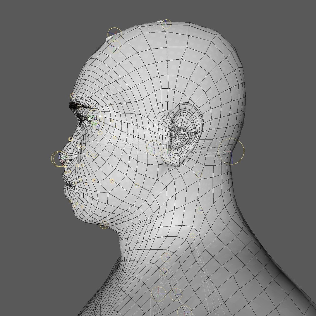 3d Model Of Realistic Base Mesh 45