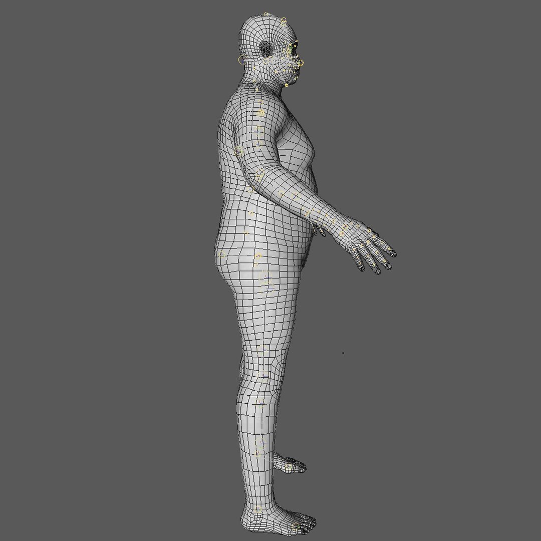 3d Model Of Realistic Base Mesh 45