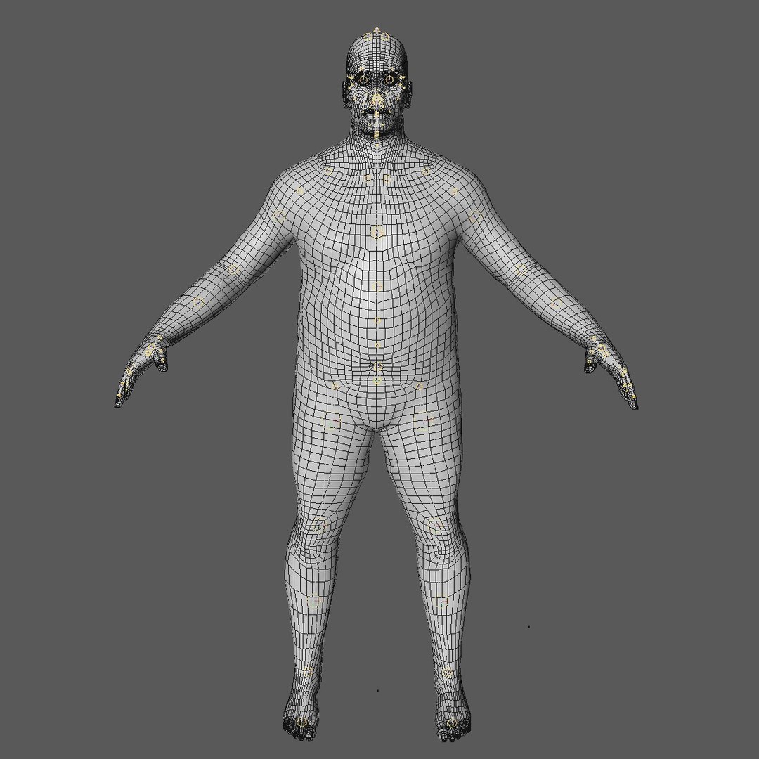 3d Model Of Realistic Base Mesh 45