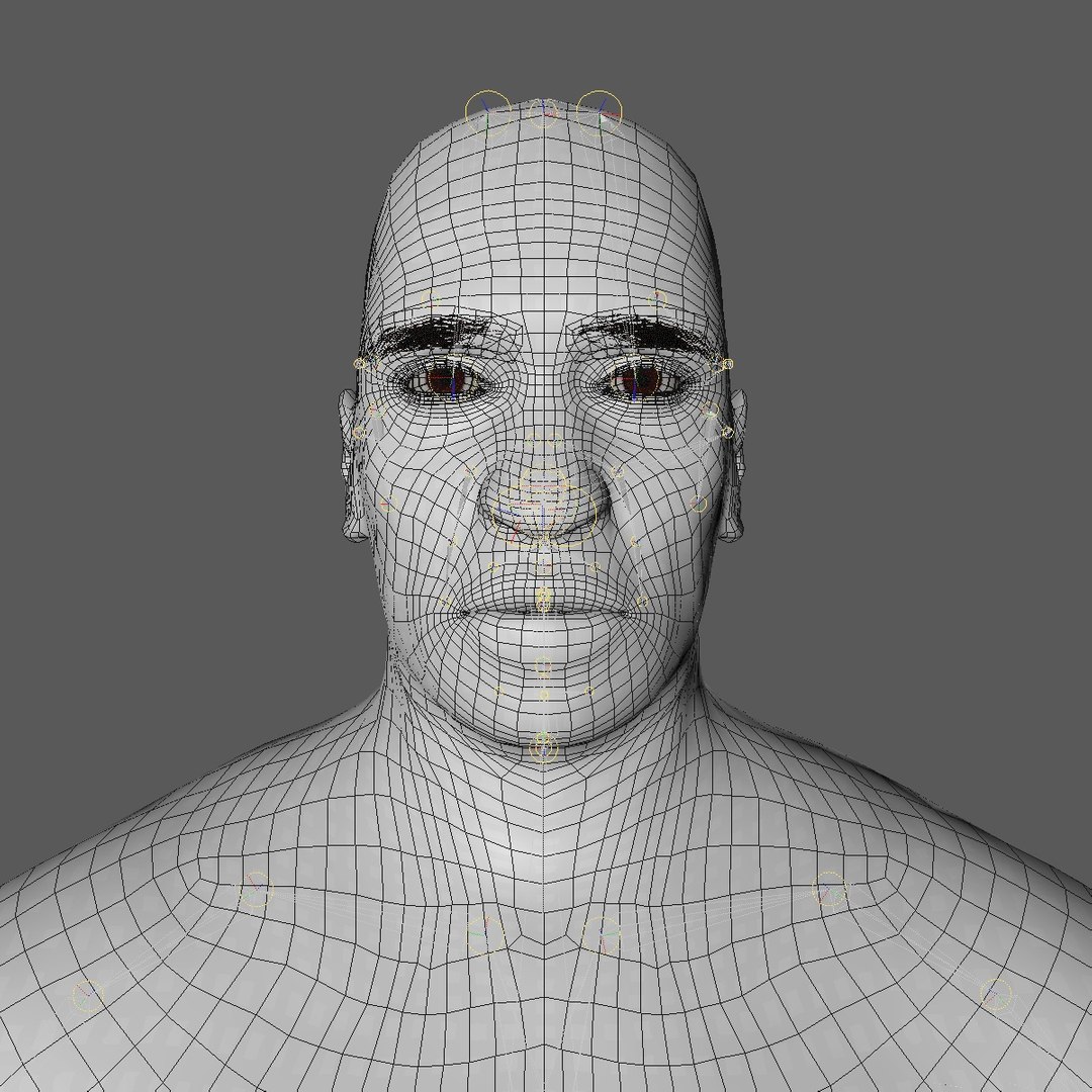 3d Model Of Realistic Base Mesh 45