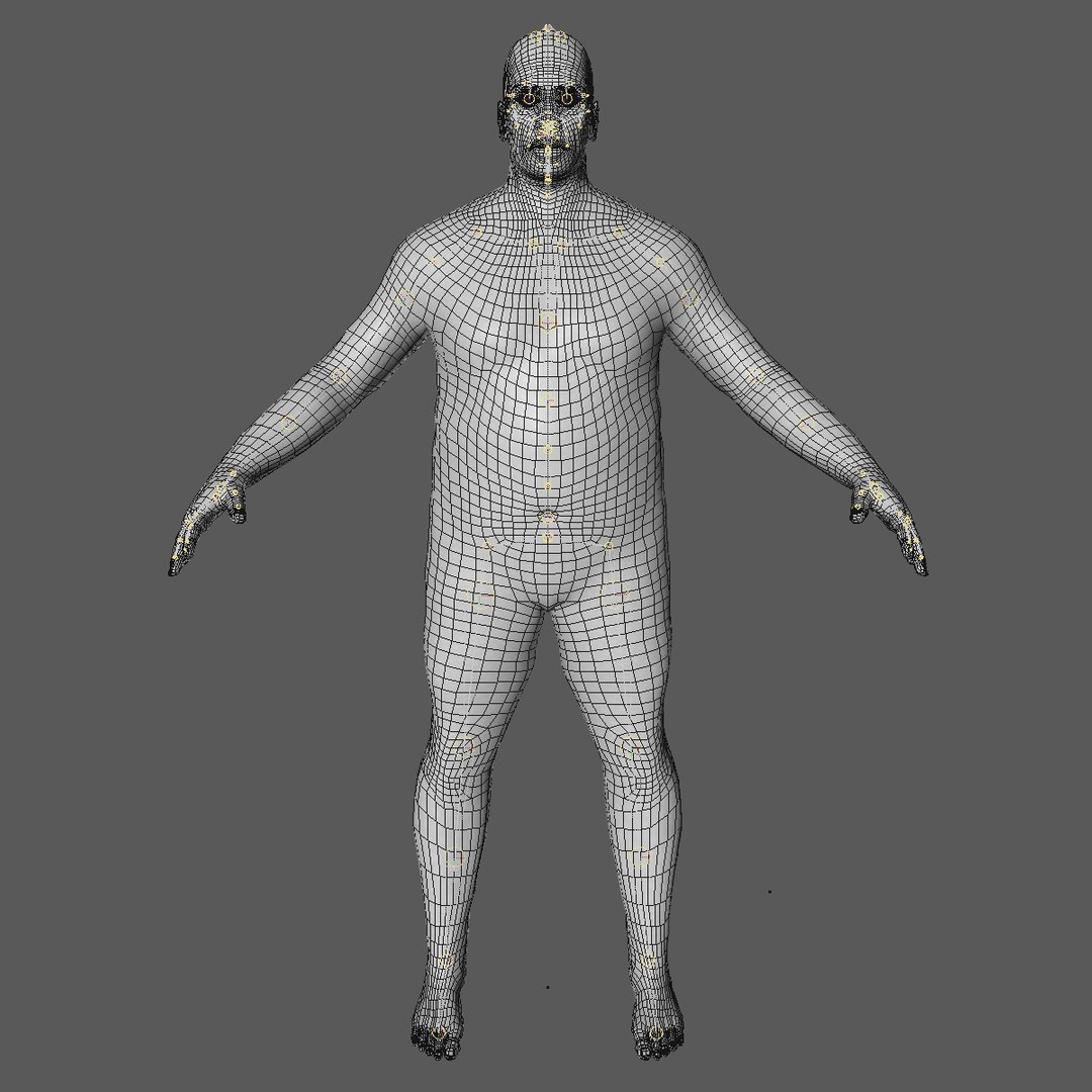 3d Model Of Realistic Base Mesh 45