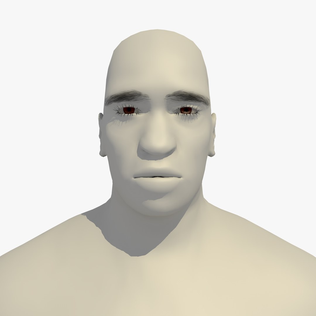 3d Model Of Realistic Base Mesh 45