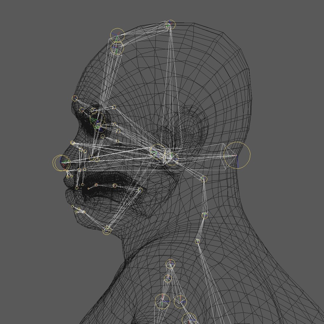 3d Model Of Realistic Base Mesh 45