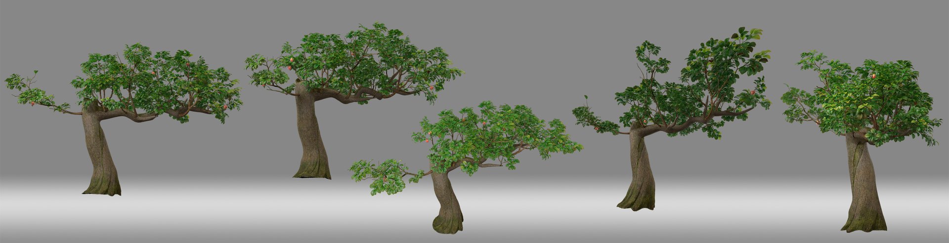 3D Model Apple Tree - TurboSquid 1492239