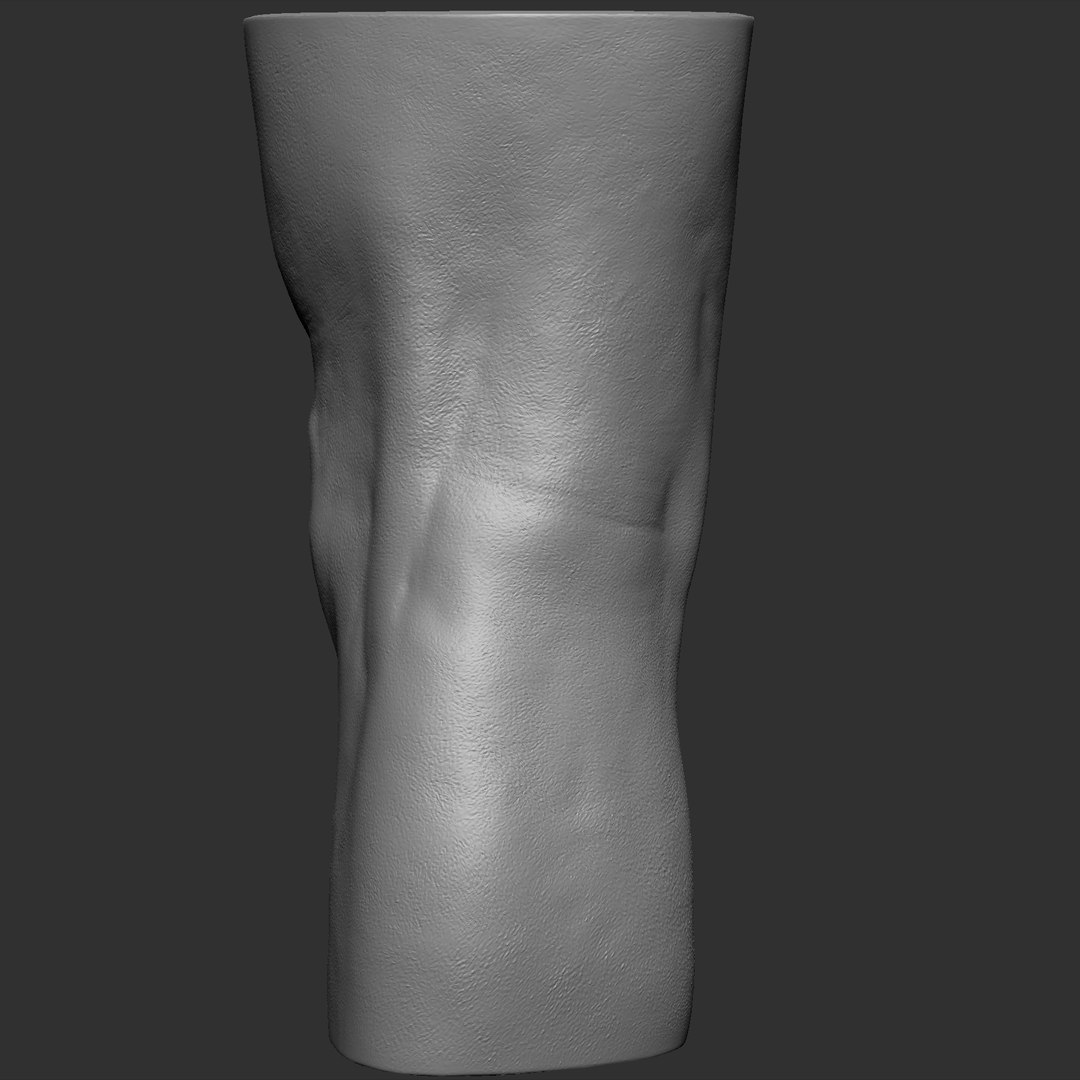 Knee Realistic 3d Obj