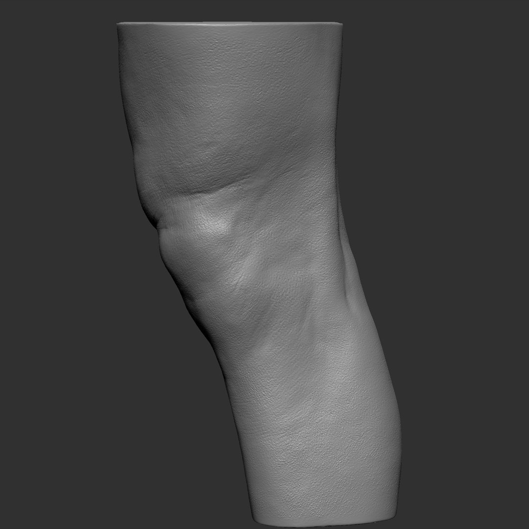 Knee Realistic 3d Obj