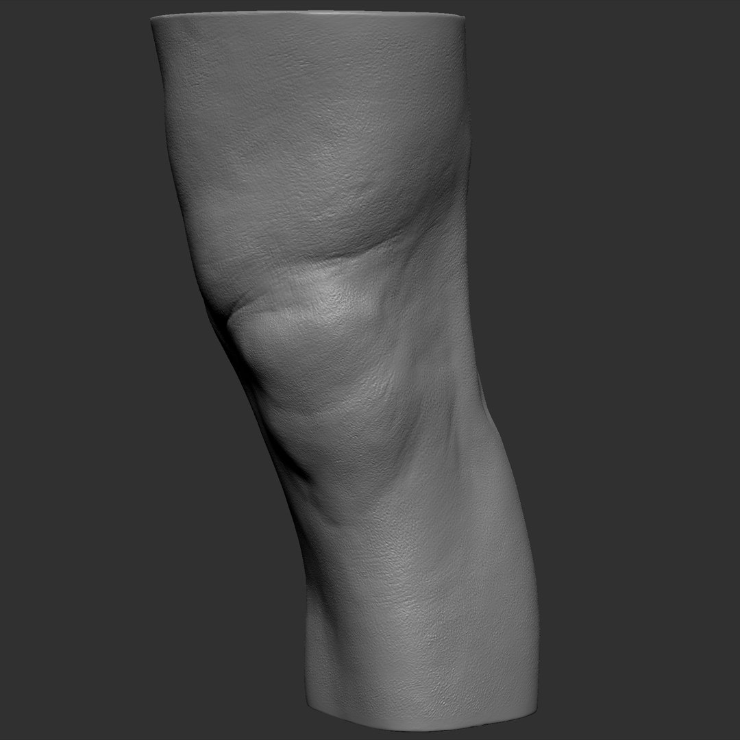 Knee Realistic 3d Obj