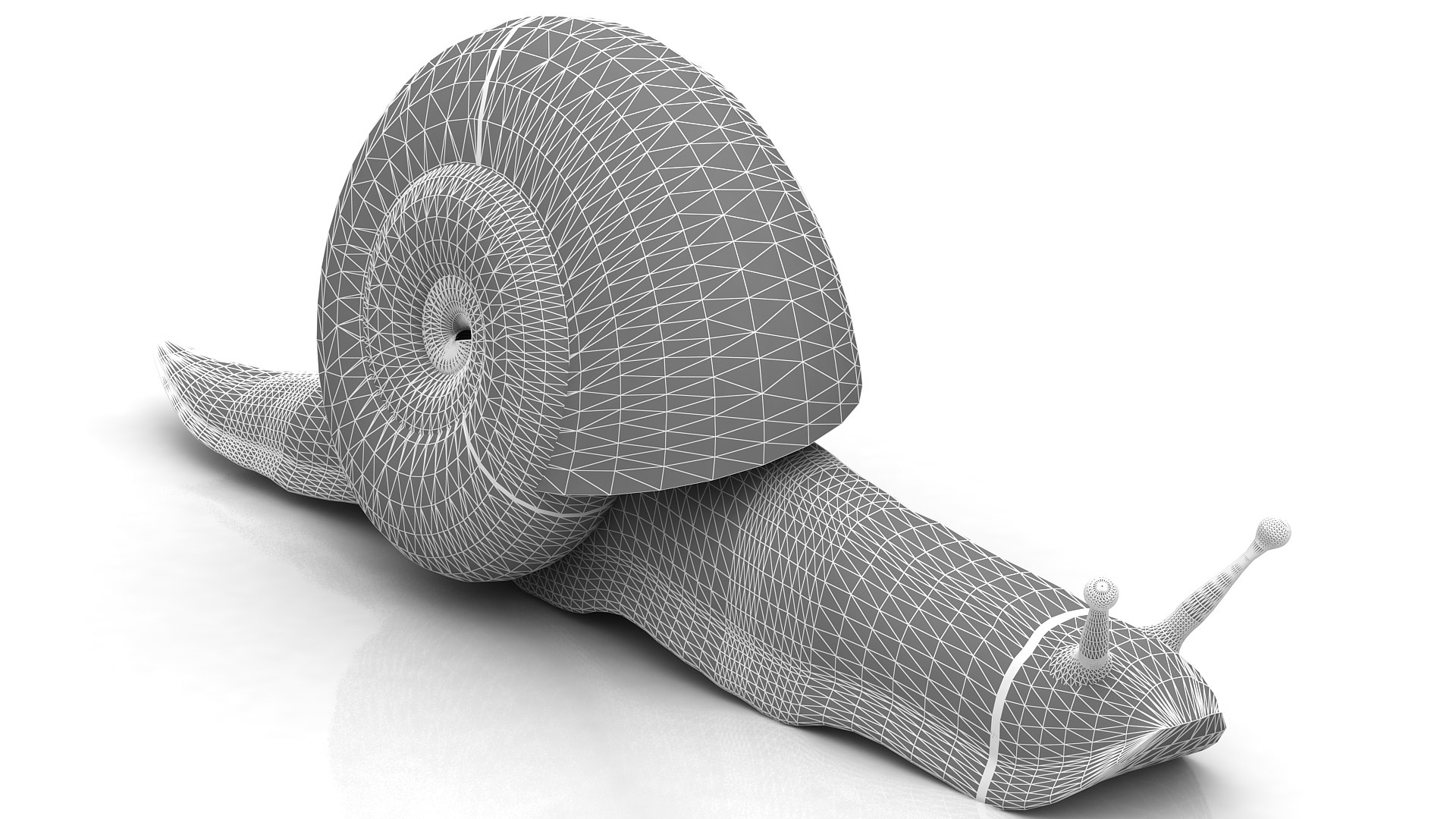 Snail 3D model - TurboSquid 1759372