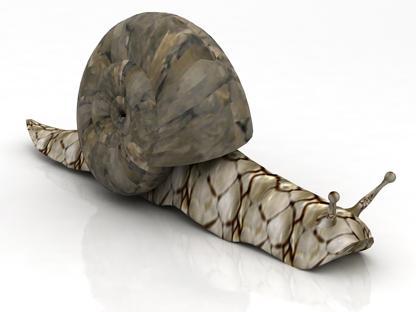Snail 3D model - TurboSquid 1759372